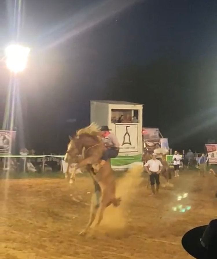 Ginete alegretense é vice-campeão na Expofeira de Quaraí