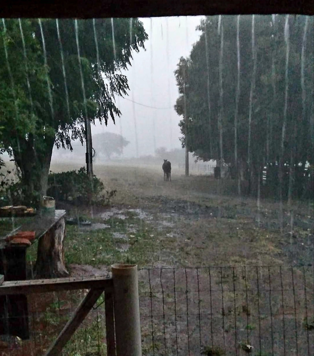 Chuva que refresca e devolve vida à natureza