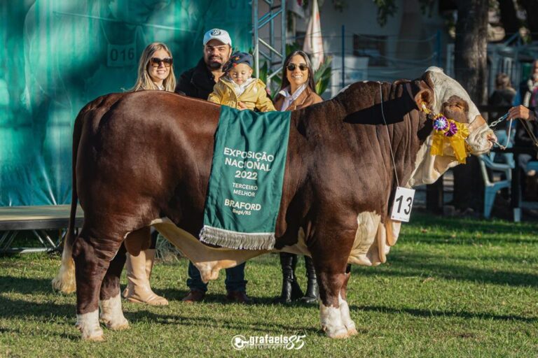 Touro da raça Braford foi vendido por mais de 200 mil reais em Alegrete