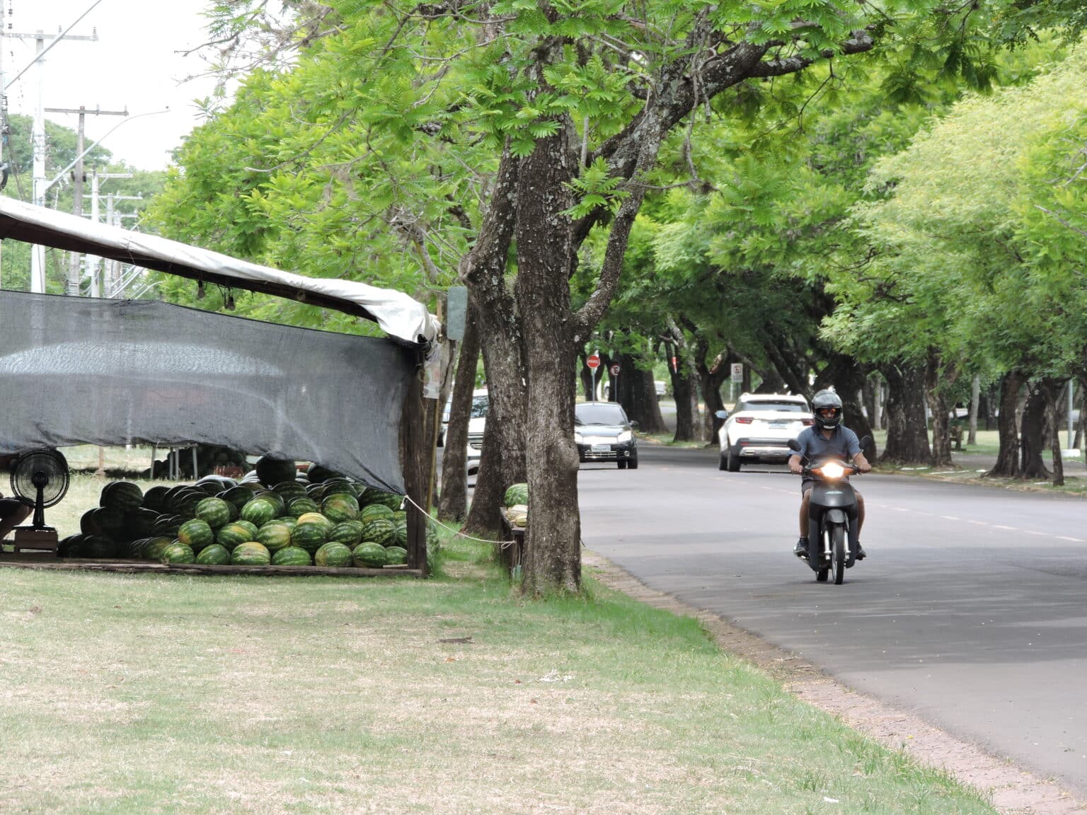"A queridinha do verão" já está na avenida Alexandre Lisboa em Alegrete