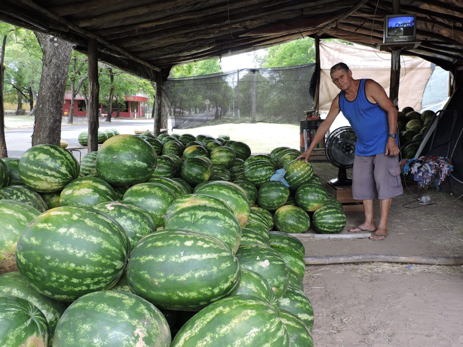 "A queridinha do verão" já está na avenida Alexandre Lisboa em Alegrete