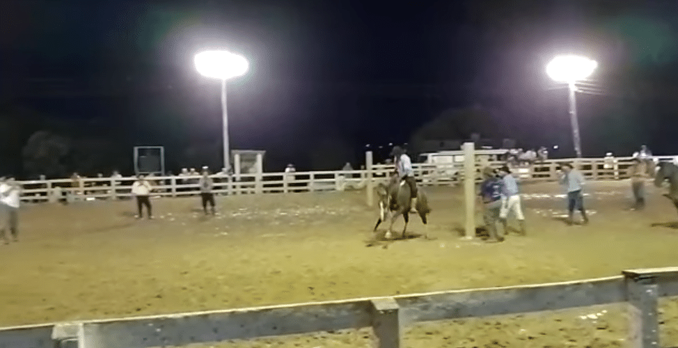 Ginete de Alegrete é campeão no Rodeio do Piquete Ronda da Sesmarias