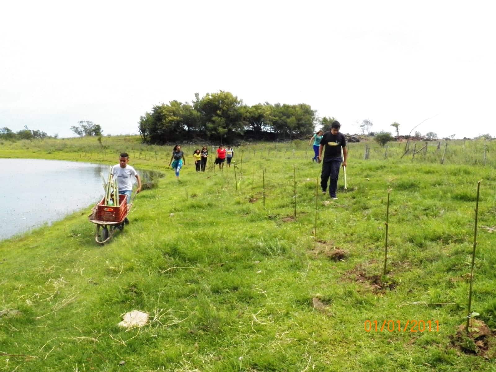 Projeto Plantando Água é um aliado das nascentes dos rios