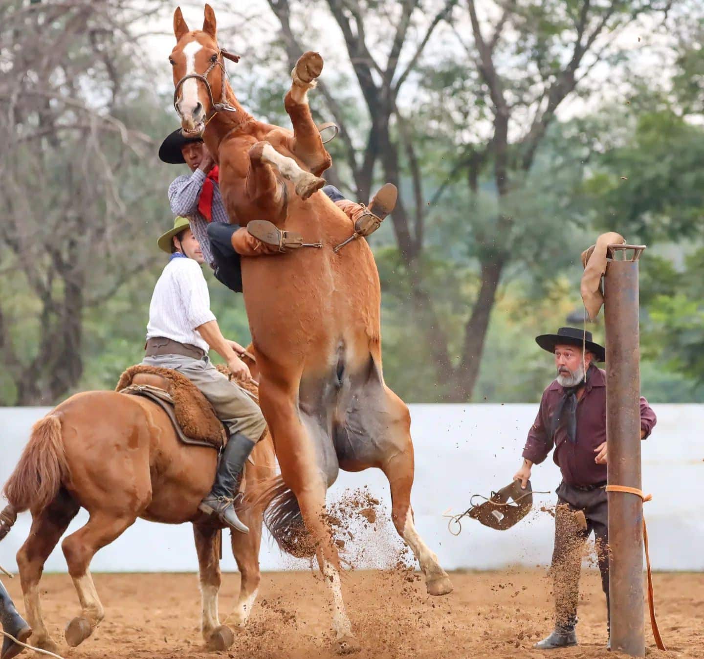 Ginete de Alegrete participa da gineteada Broche de Ouro da Expoutono ...