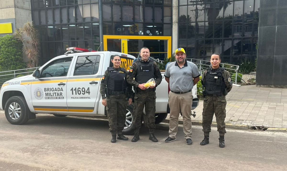 Banco do Brasil faz doação de móveis e utensílios à PATRAM