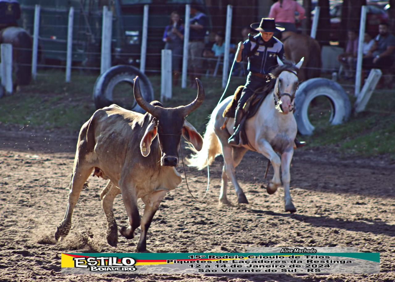 Aline Machado é um exemplo da crescente ascensão da mulher no ...