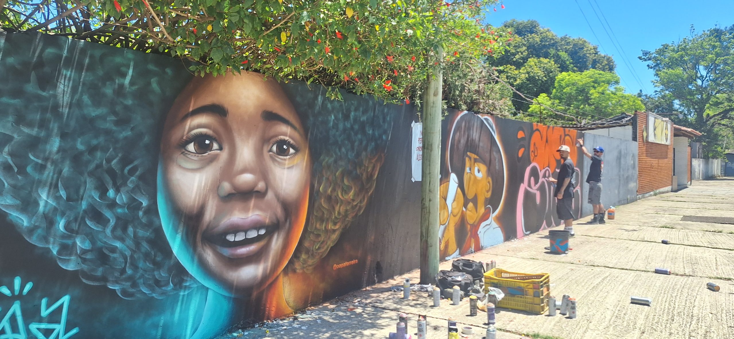 Grafiteiros de Caxias do Sul presenteiam a cidade com arte no muro do ...