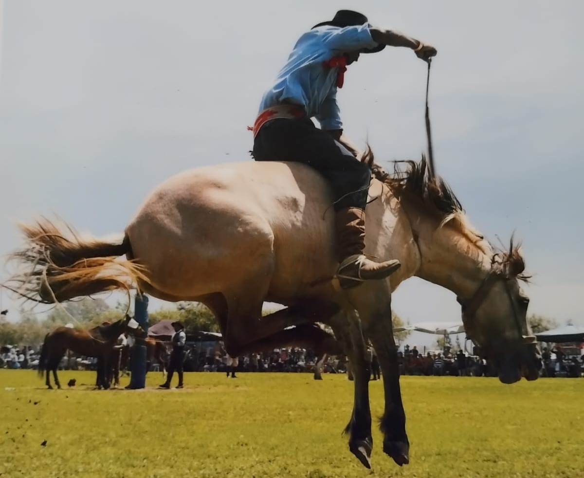 Ginete alegretense brilha na Fiesta Del Ombú em Córdoba na Argentina