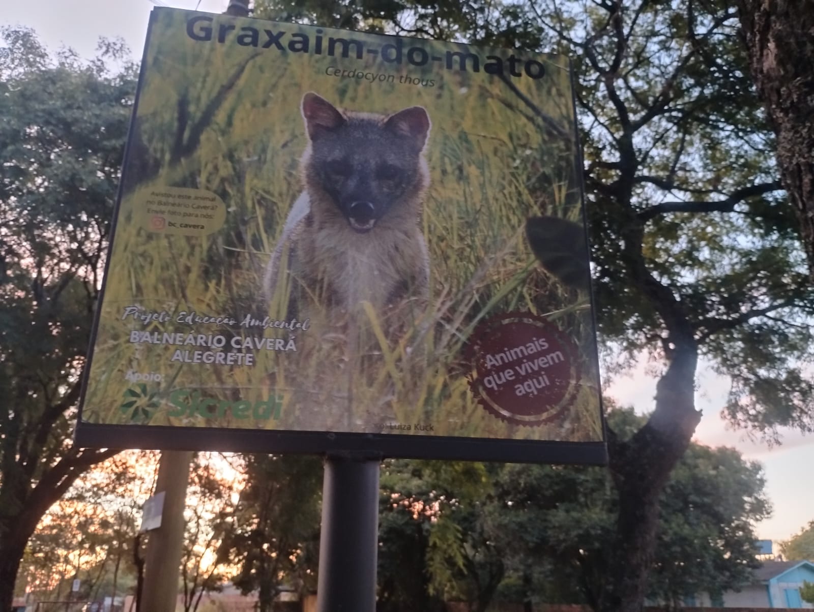 Placas no Balneário Caverá identificam animais silvestres que vivem nas ...