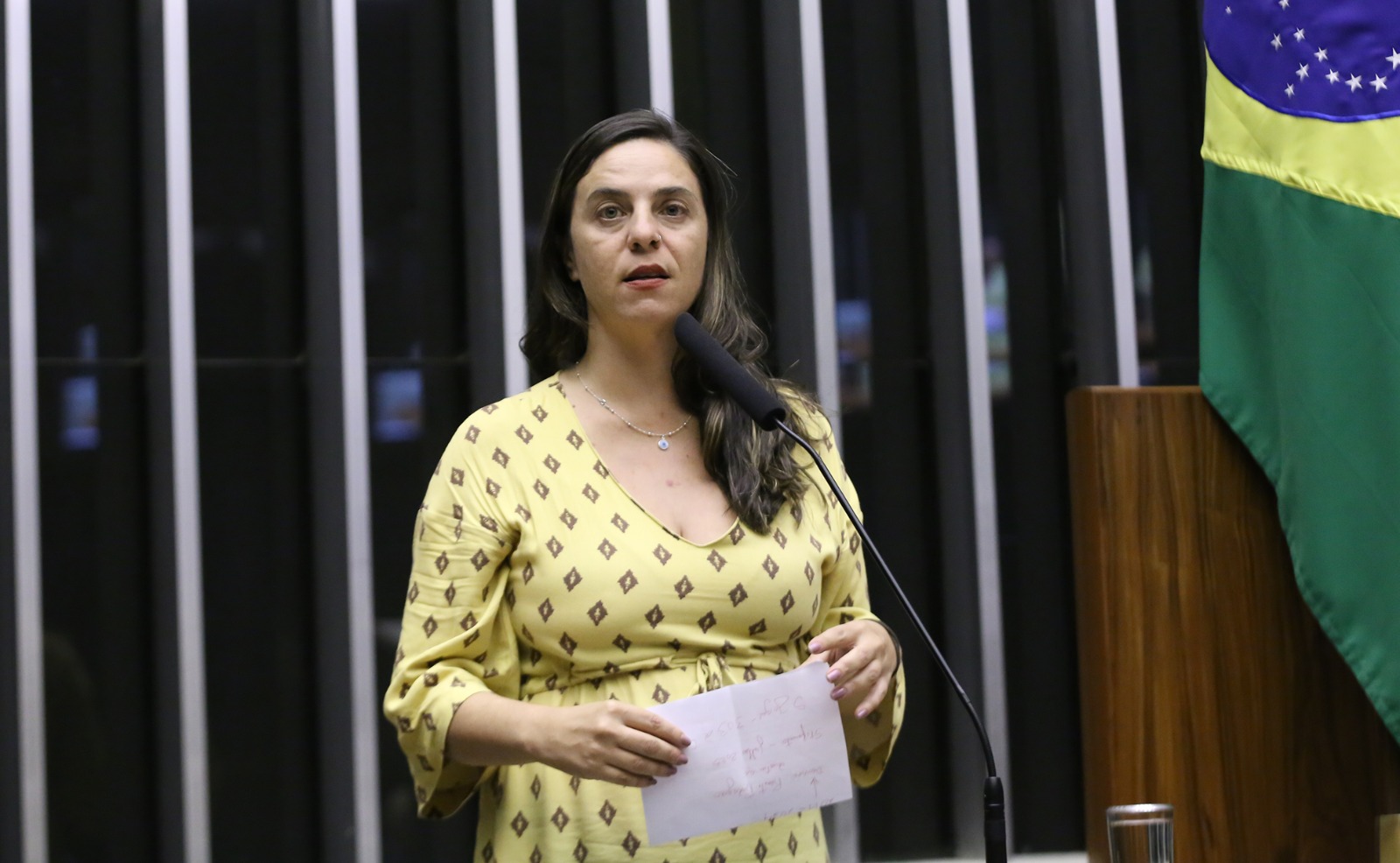 Fernanda Melchionna coordena Comissão Externa na Câmara dos Deputados ...