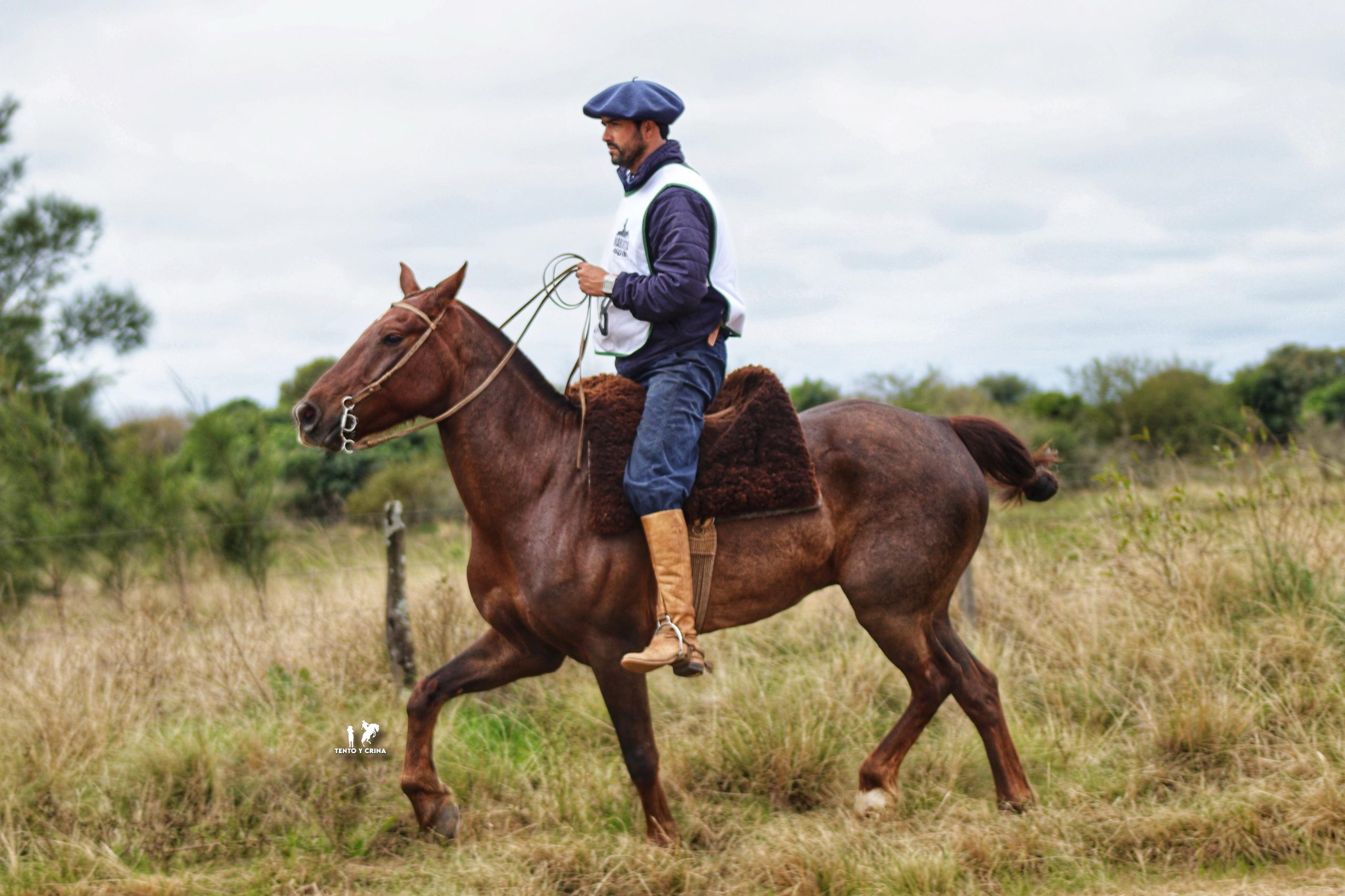 Ginete alegretense entre os melhores da etapa do Campeonato Nacional de ...