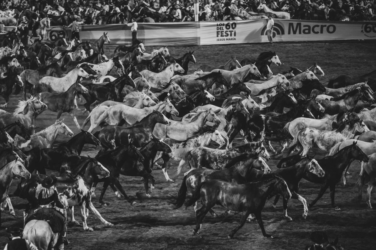 Lelé mantém Brasil na liderança após quinto dia do Festival de Jesus ...