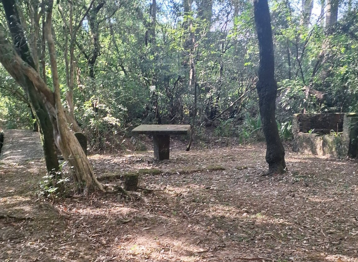 Secretarias se unem para tratar de limpeza da trilha ecológica do Caverá